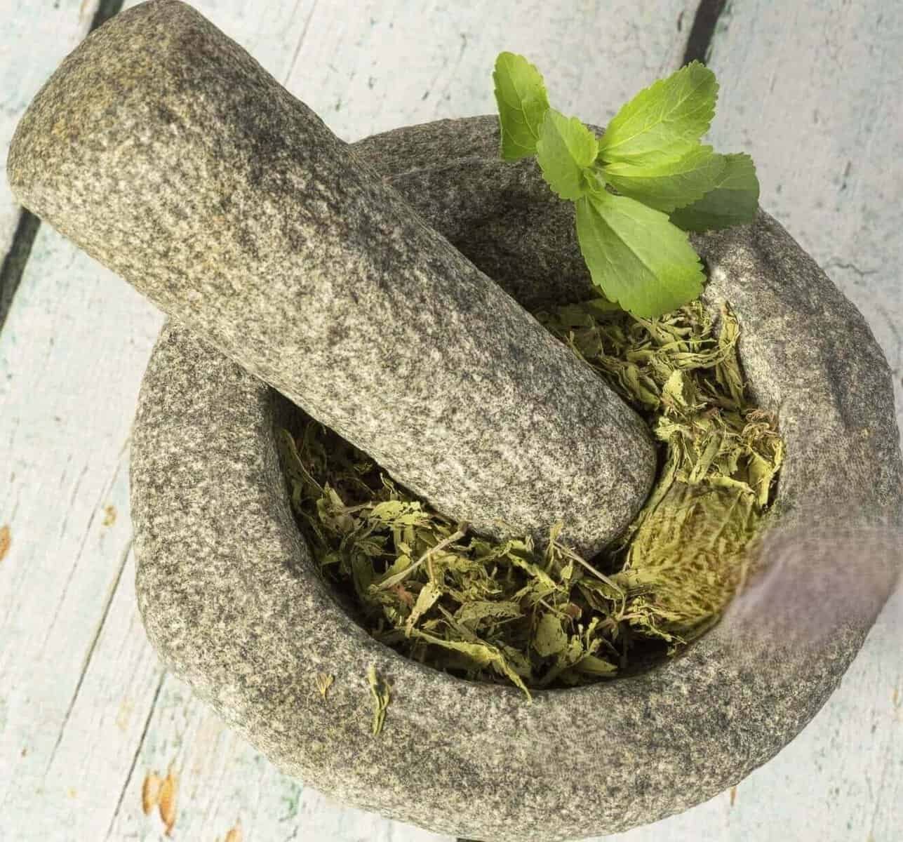 How to use stevia leaves