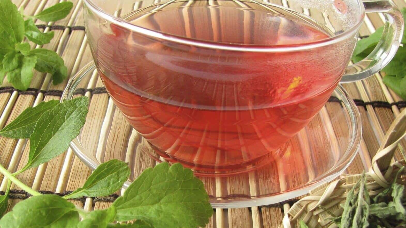 How to use stevia leaves