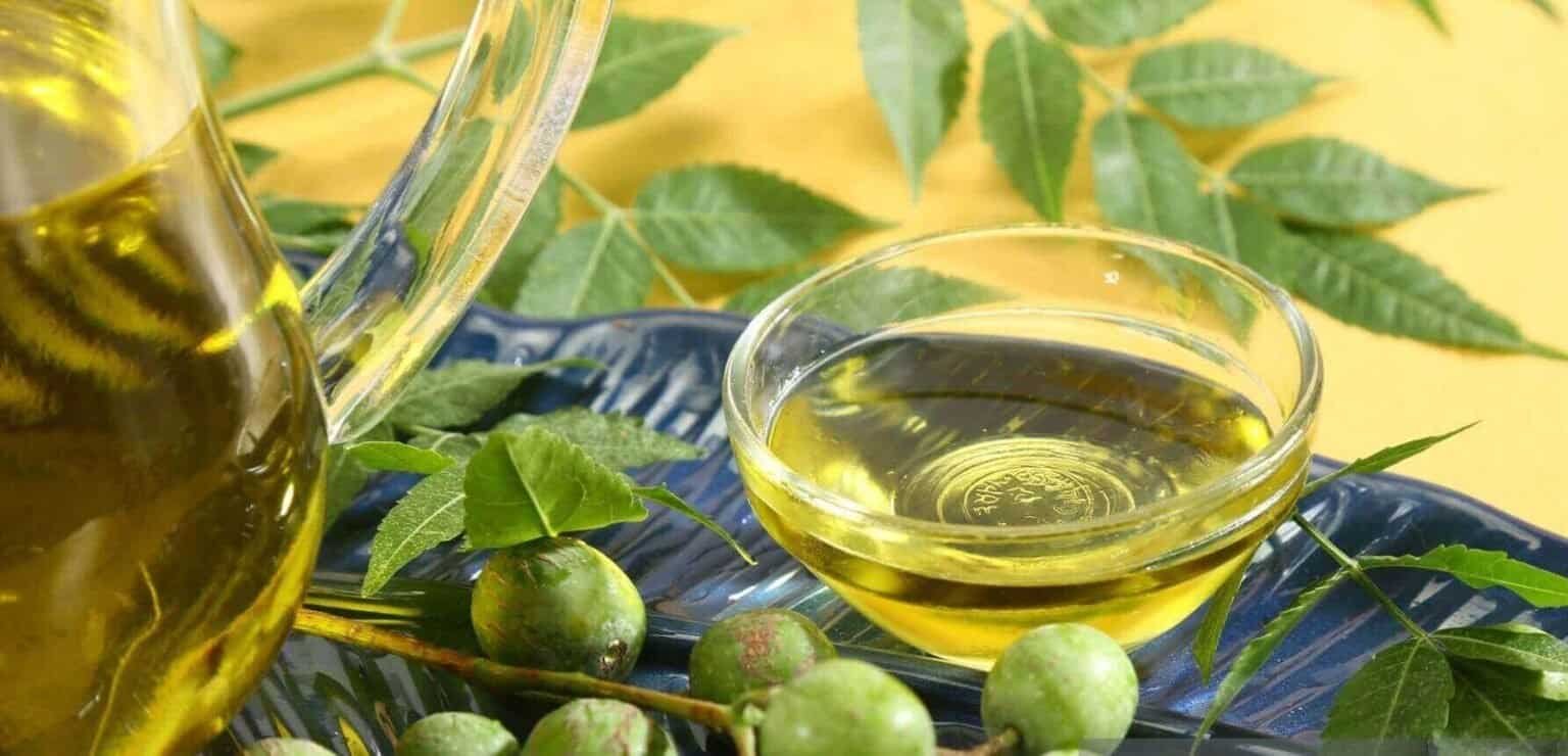 Incredible Benefits of Neem And Its Side Effects.