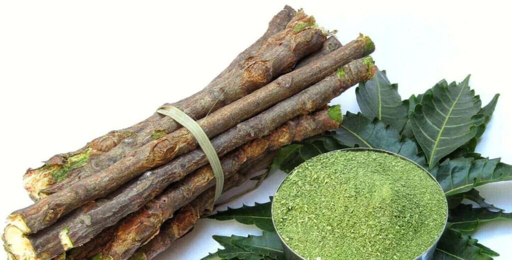 Incredible Benefits of Neem And Its Side Effects.