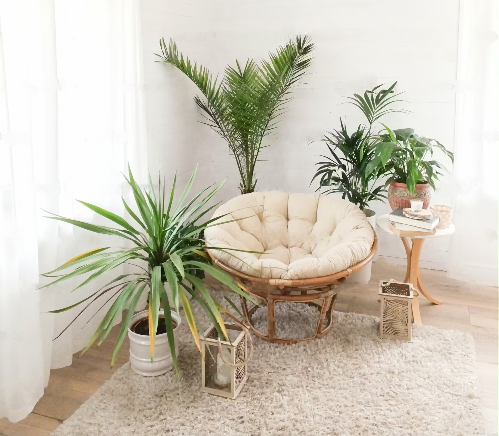 Easy Indoor Garden Ideas & Tips for a Greener Home